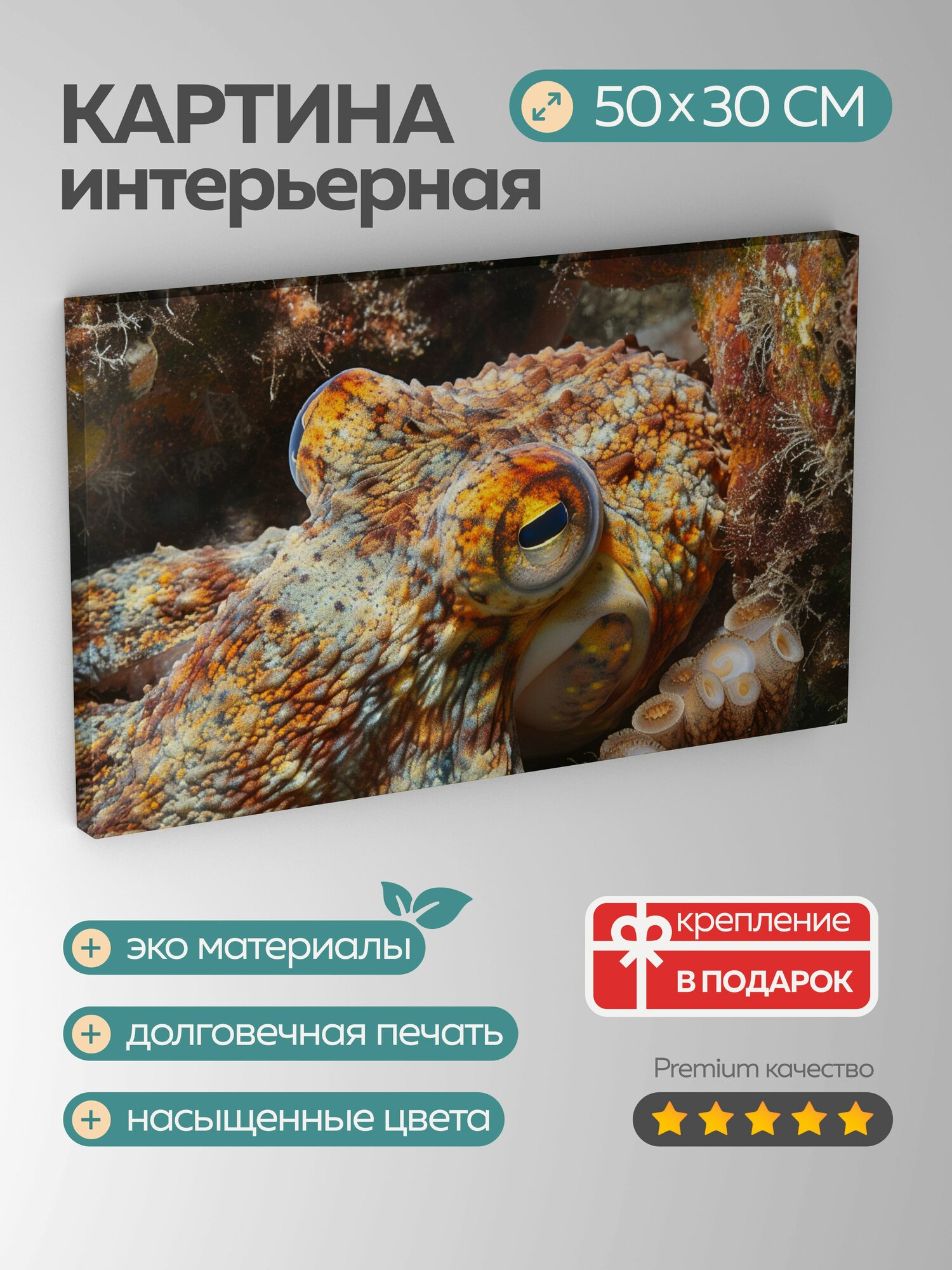 Картина на холсте интерьерная 50х30 см, фотография, осьминог, замаскированный, океаническая среда, коралловый риф