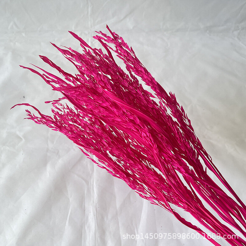 Сушеные рисовые колосья, красные, 10 палочек