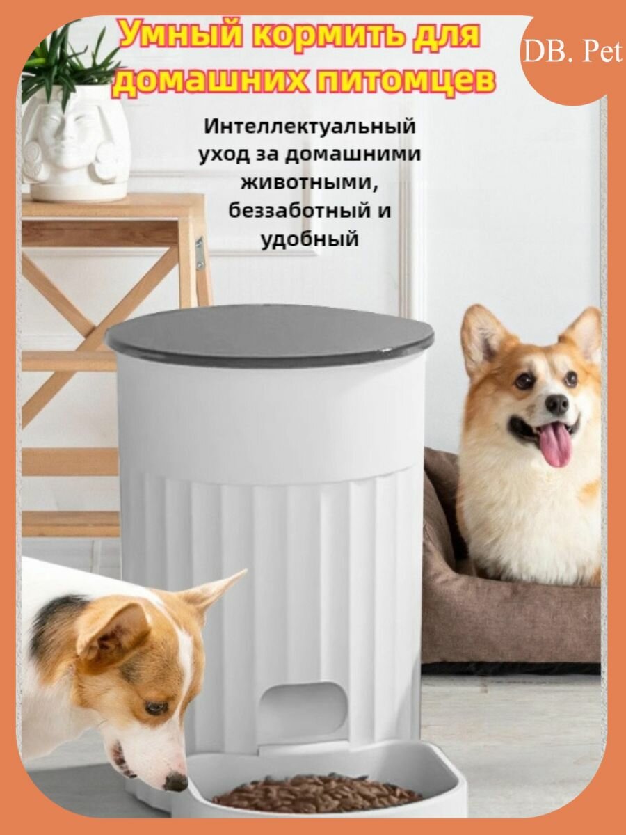Умный кормить для домашних питомцев с кнопочным управлением, предназначен для кошек и собак, позволяет устанавливать время и количество корма. DB PET