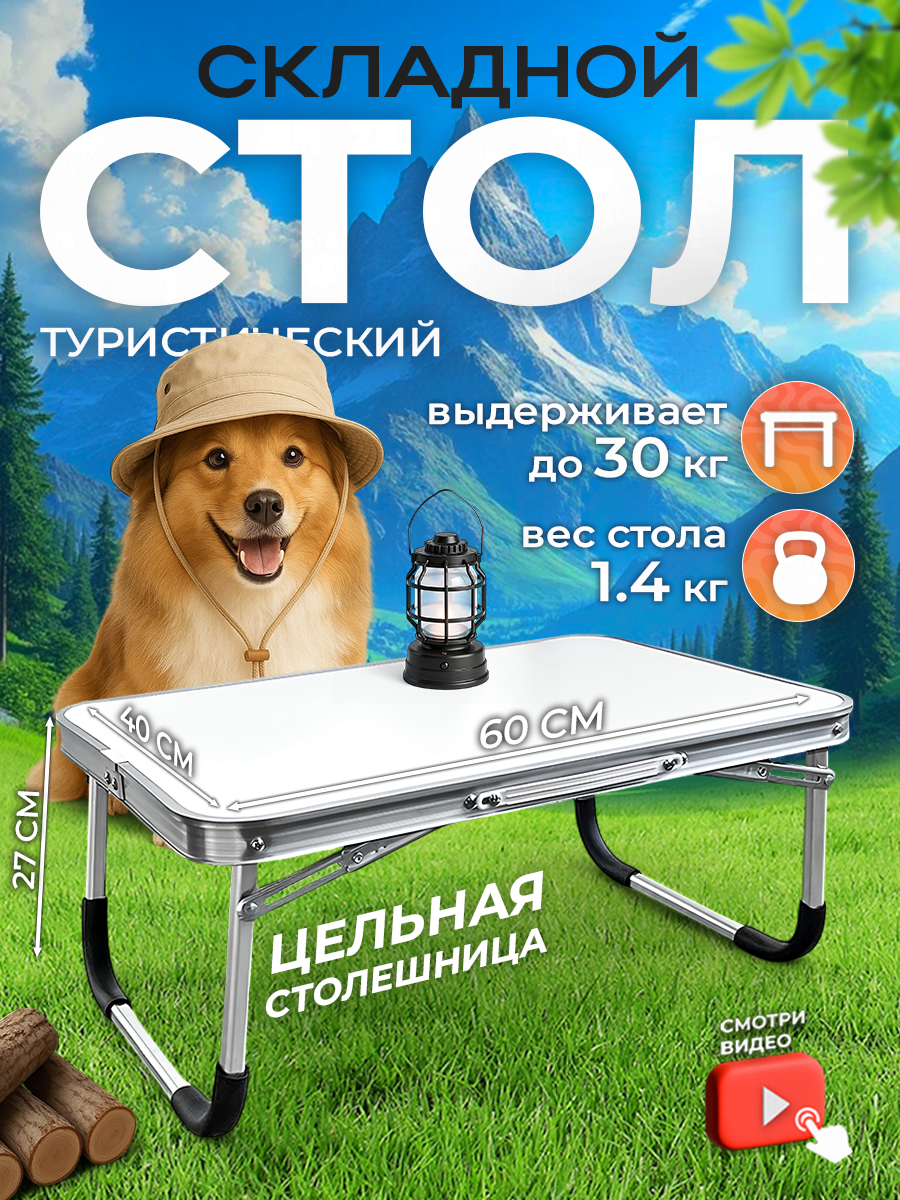 Стол туристический складной 60х40х27 без стульев для пикника