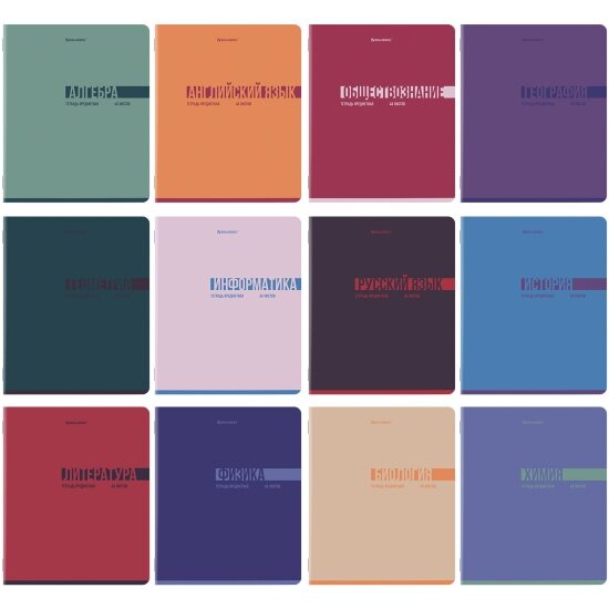 Тетради предметные Brauberg , комплект 12 предметов, 48 л, обложка картон, "VIBE", 405163