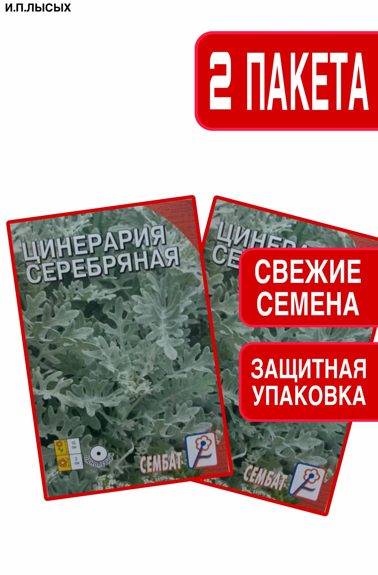 Семена Цинерария "Серебряная"