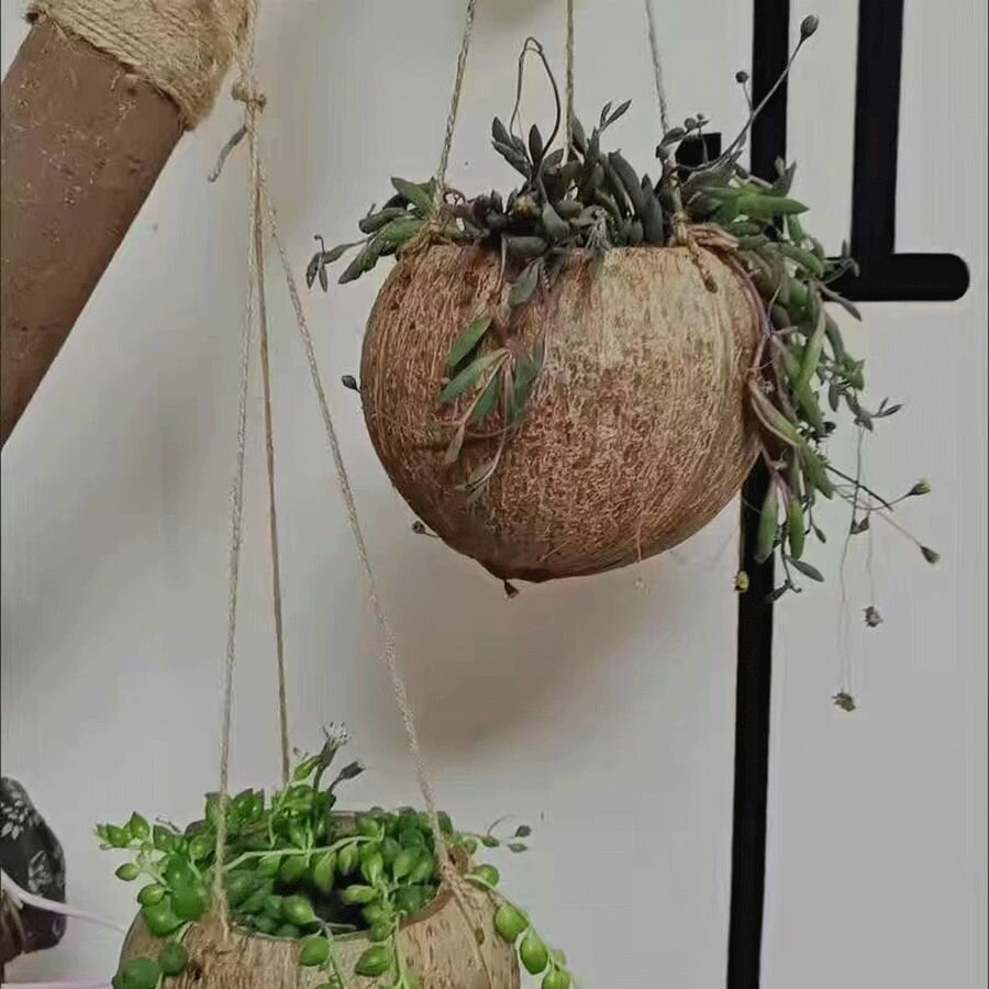 Кокосовая скорлупа подвешена горшок, коричневый 9-13cm*7.5-8.5cm