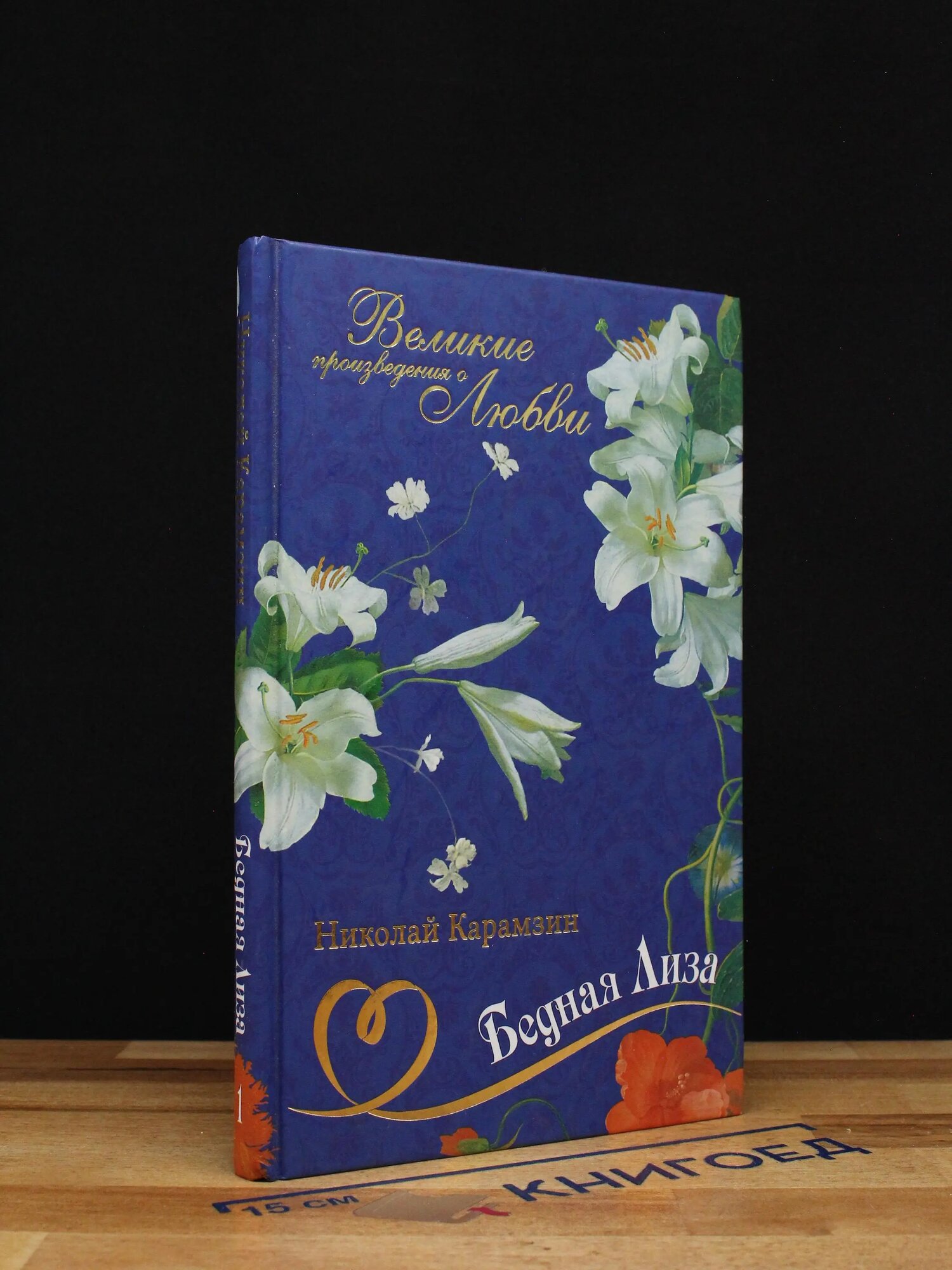 Книга. Бедная Лиза 2015 (2045477403211)