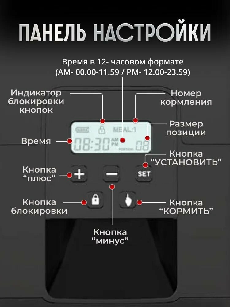 Автокормушка — фото 1