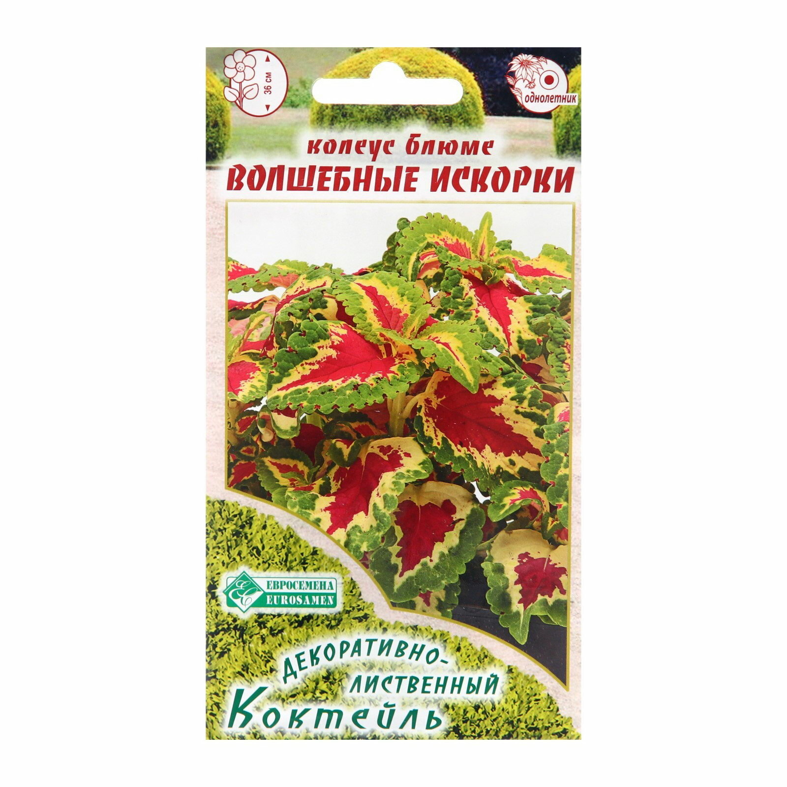 Семена цветов Колеус блюме "Волшебные Искорки", 10 шт, назначение: для балкона, веранды