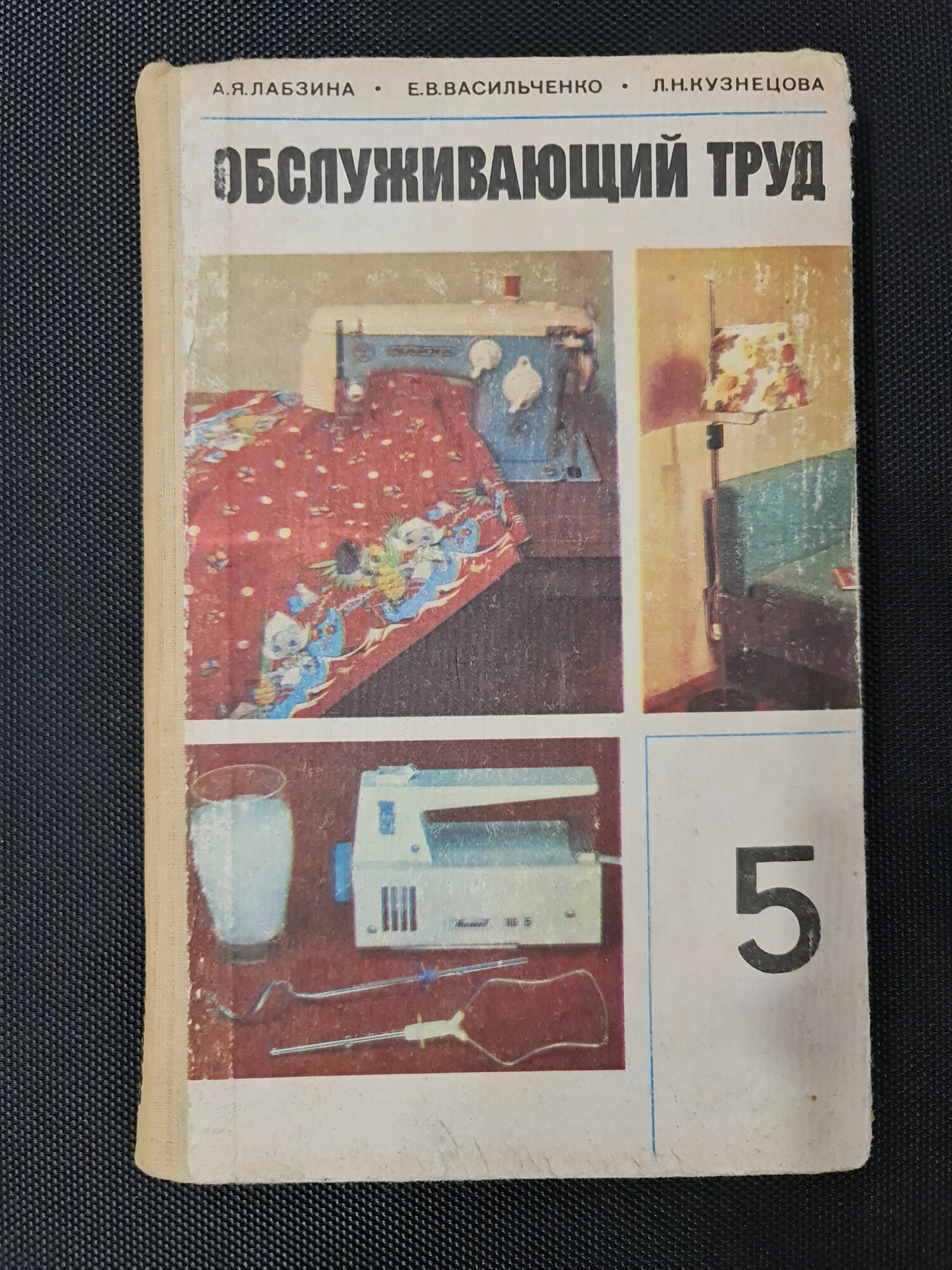 Редкая книга А. Я. Лабзина, Е. В. Васильченко, Л. Н. Кузнецова "Обслуживающий Труд", учебное пособие для 5-го класса, 1982 г.
