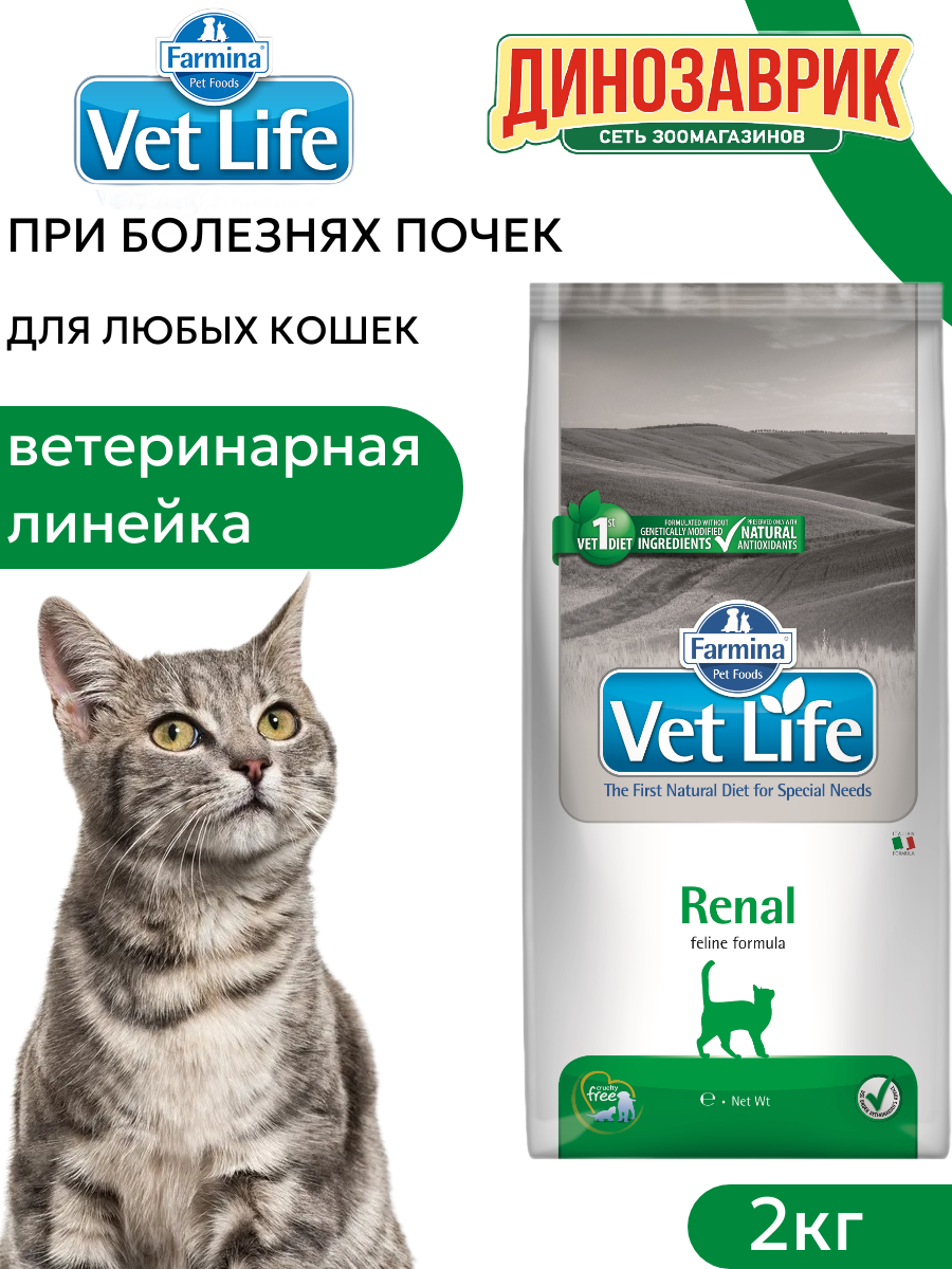 Сухой корм Farmina Vet Life Renal для кошек, для поддержания функции почек при почечной недостаточности, 2 кг