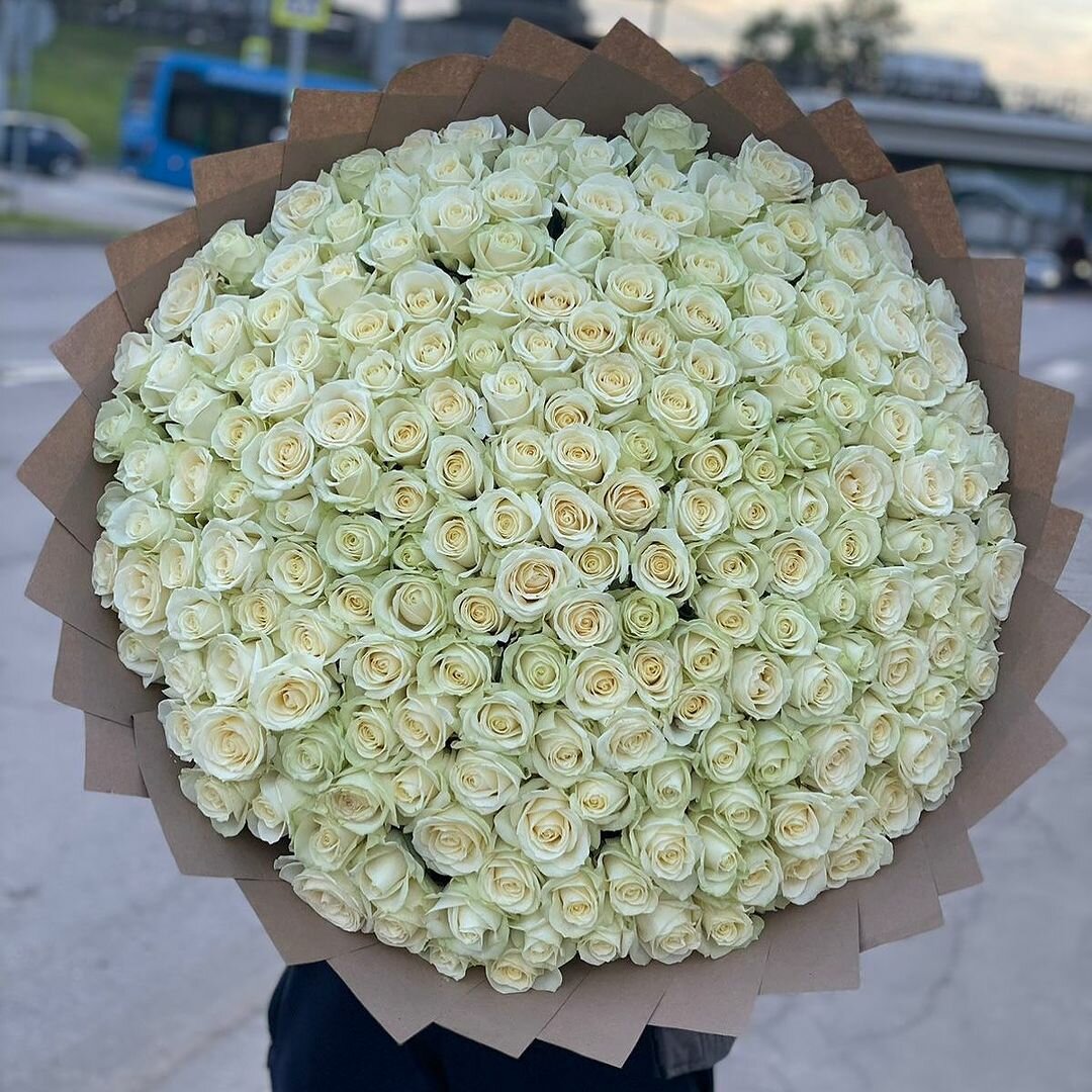 Букет из белых роз 201 шт, красивый букет цветов, шикарный, премиум цветы, премиум букет