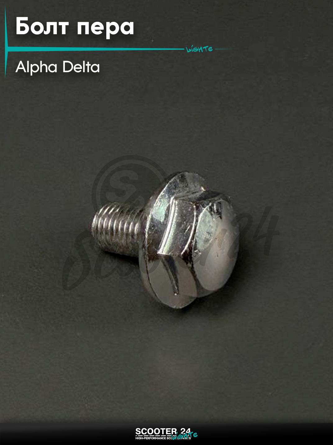 Болт пера передней вилки на мопед, мотоцикл ALPHA, DELTA / Альфа, Дельта