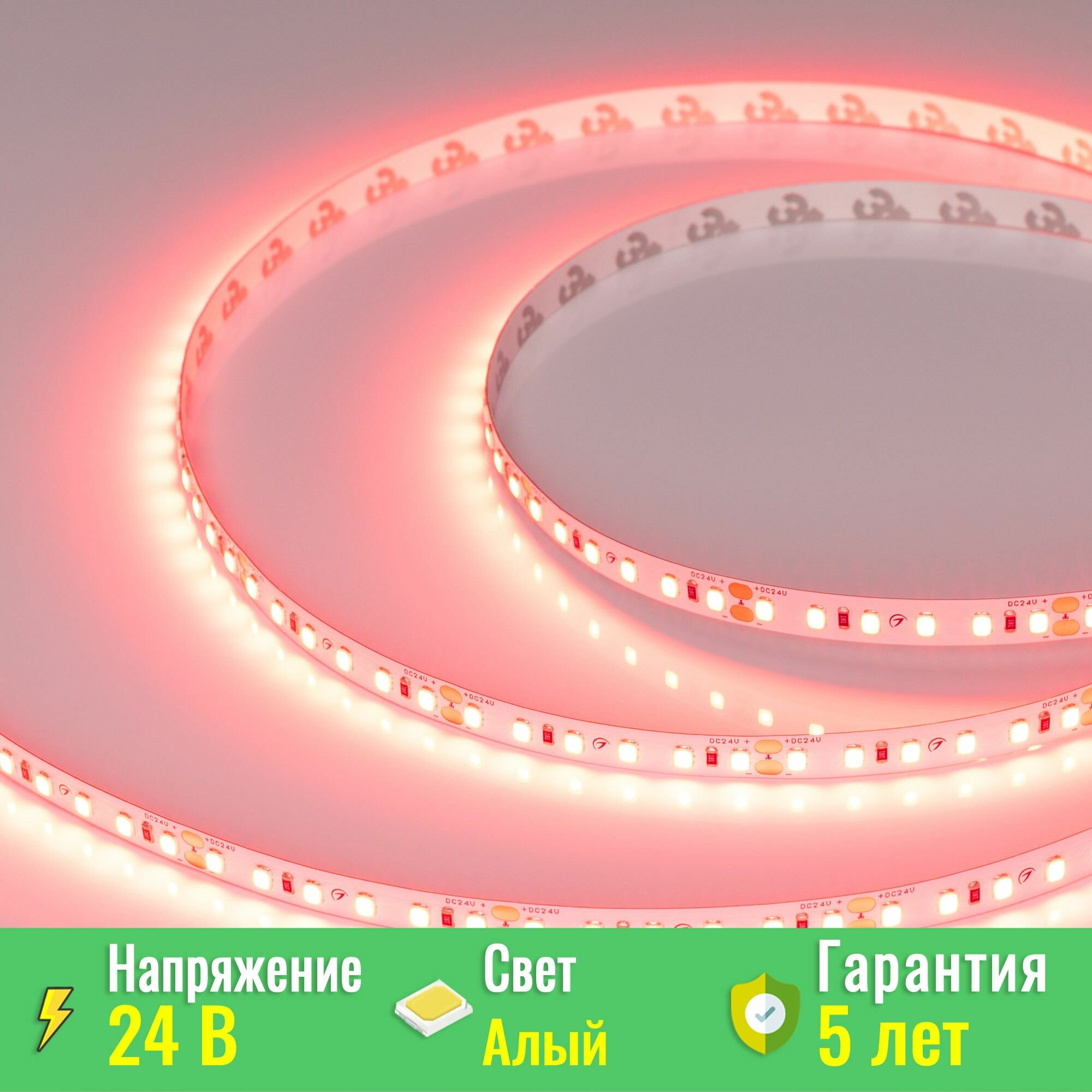 Лента светодиодная RT-A120-8mm 24V Scarlet (9.6 W/m, IP20, 2835, 5m) (Arlight, -) 043383