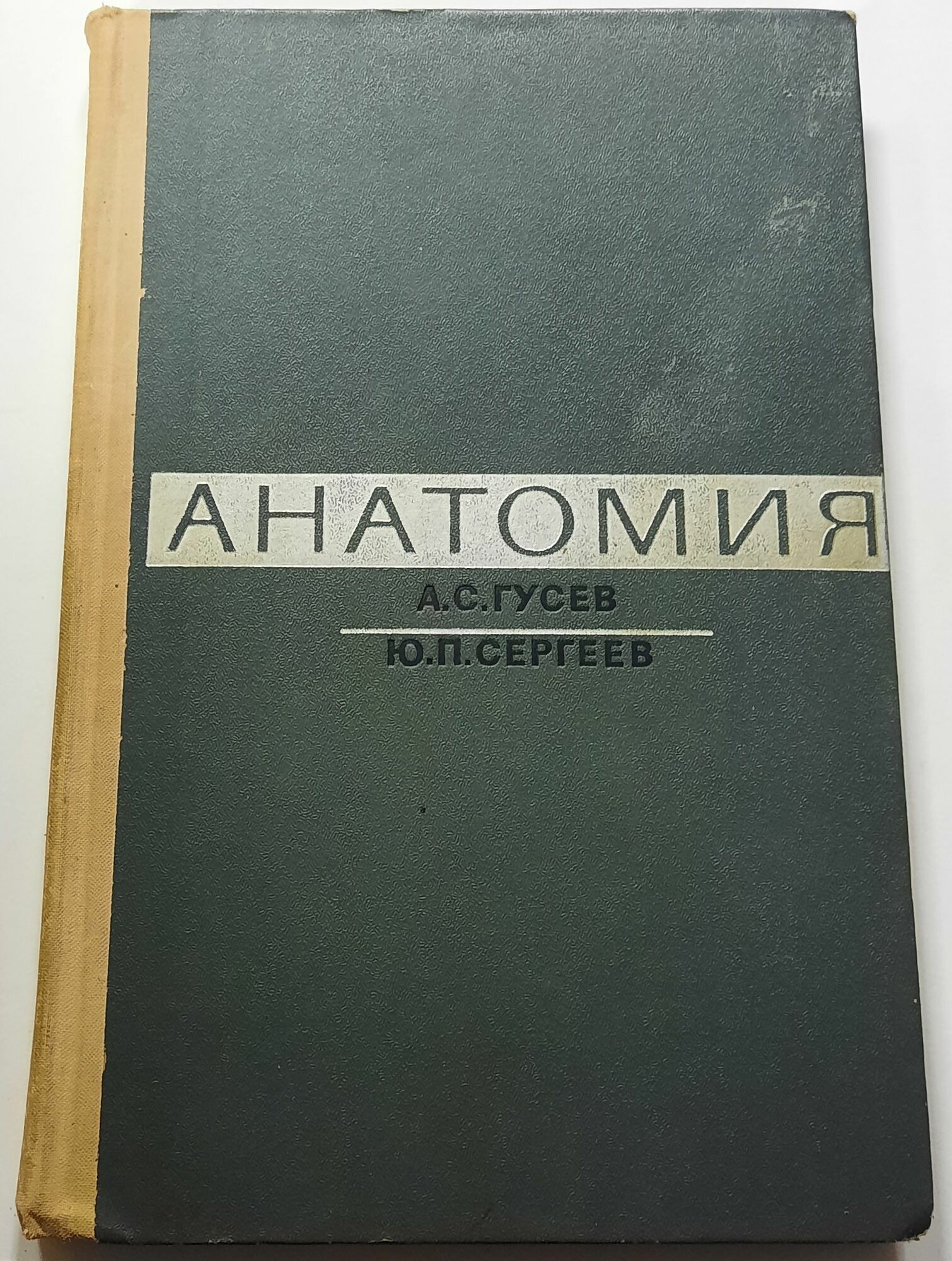 Анатомия