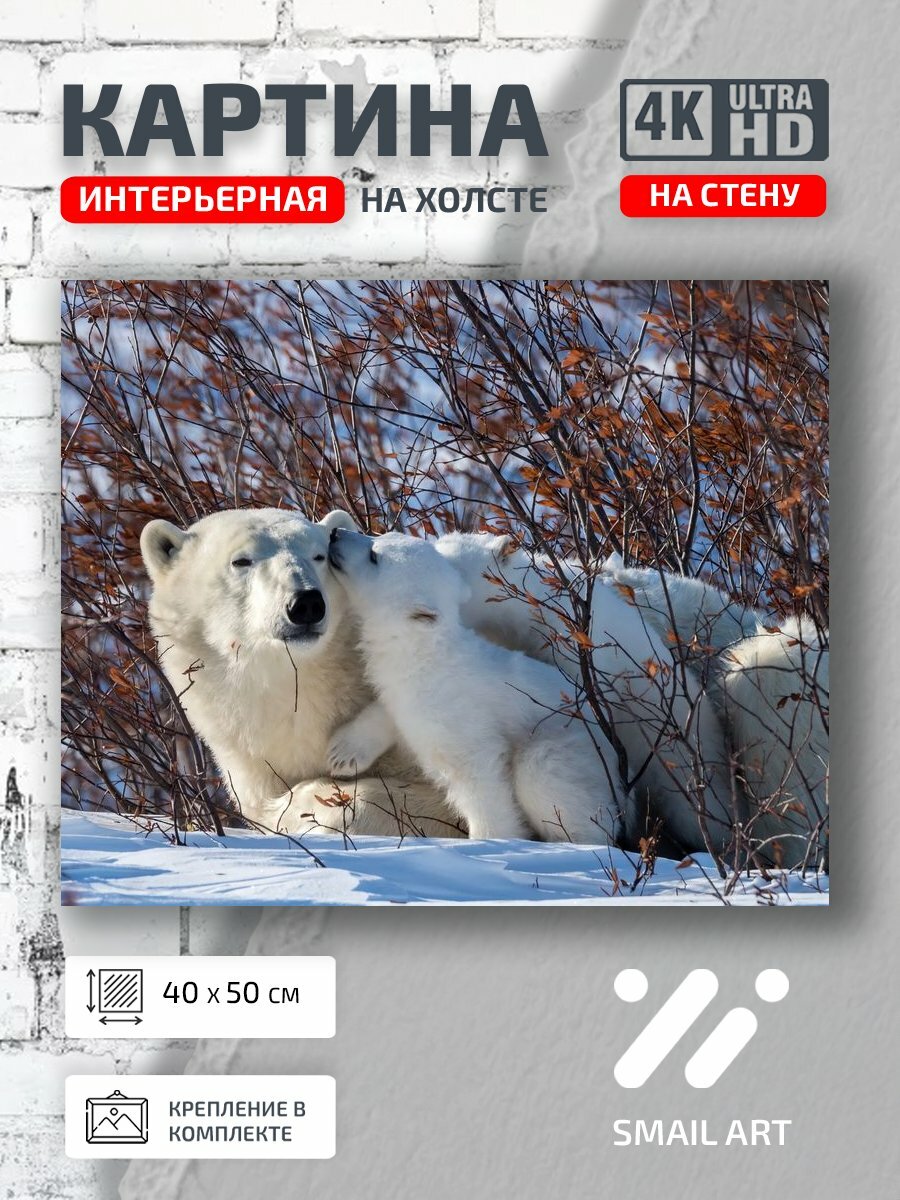 Картина на холсте интерьерная 40 на 50 на стену Медвежата Animal для спальни animal style