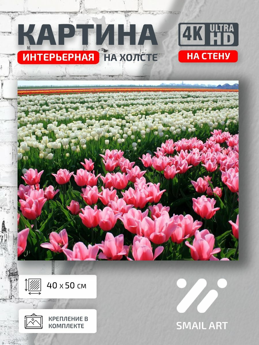 Картина на холсте интерьерная 40 на 50 на стену Цветы Landscape для гостиной пейзаж декор