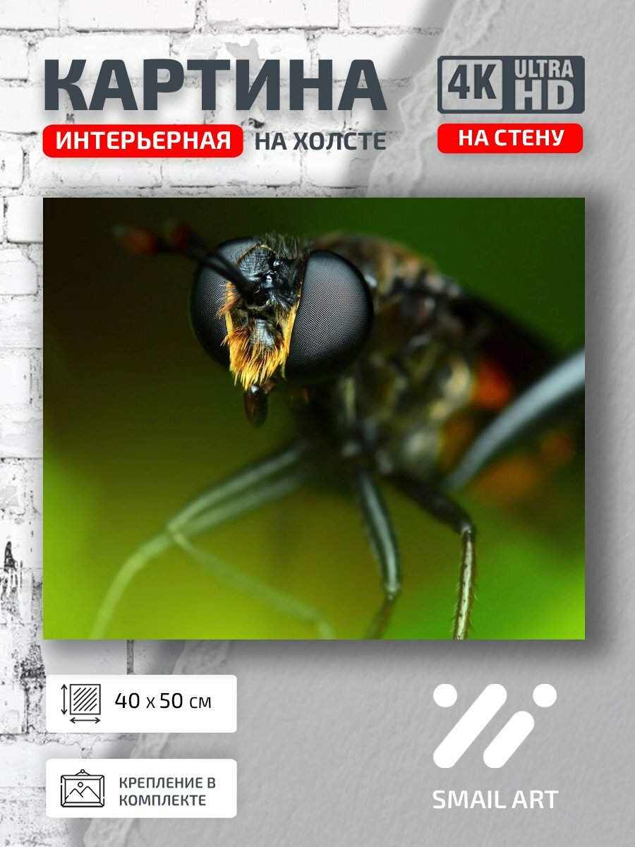 Картина на холсте интерьерная 40 на 50 на стену Глаза Landscape для кабинета пейзаж декор