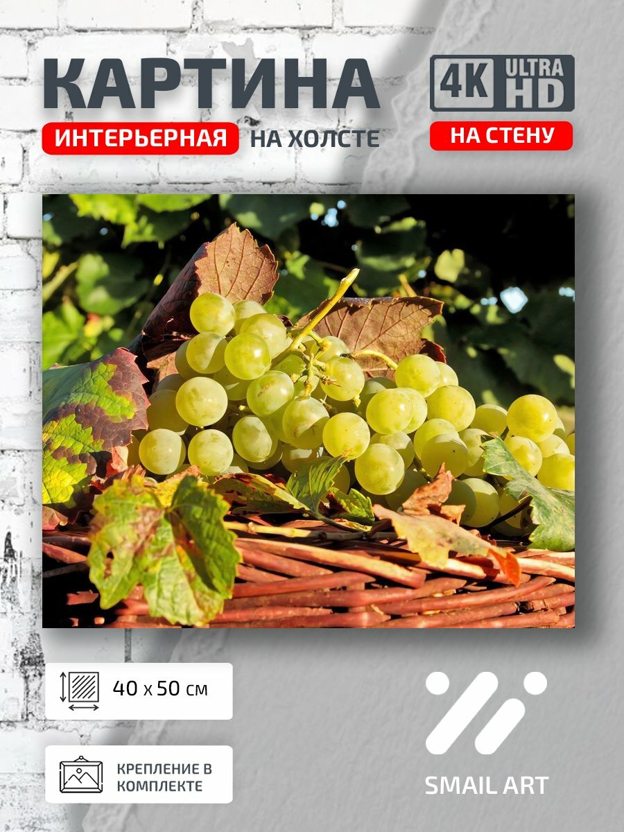 Картина на холсте интерьерная 40 на 50 на стену Гроздь bunch для кухни кулинария интерьер