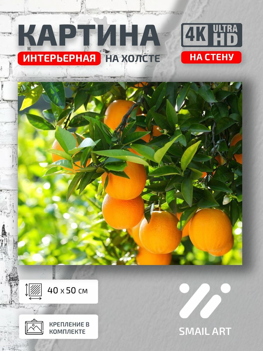 Картина на холсте интерьерная 40 на 50 на стену Листья Landscape для кафе пейзаж интерьер