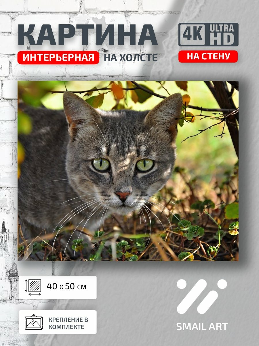 Картина на холсте интерьерная 40 на 50 на стену Кот cat для гостиной пейзаж интерьер декор