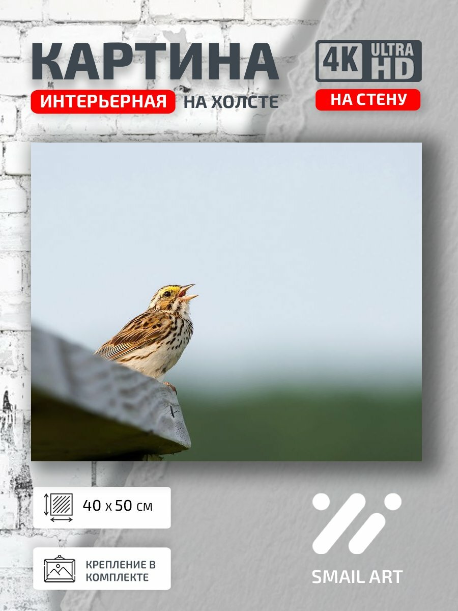 Картина на холсте интерьерная 40 на 50 на стену Птицы Landscape для гостиной пейзаж декор