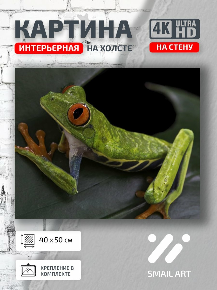 Картина на холсте интерьерная 40 на 50 на стену Земноводные Mood для студии атмосфера декор