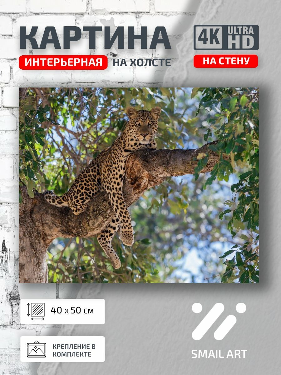 Картина на холсте интерьерная 40 на 50 на стену Дереве Mood для гостиной атмосфера интерьер