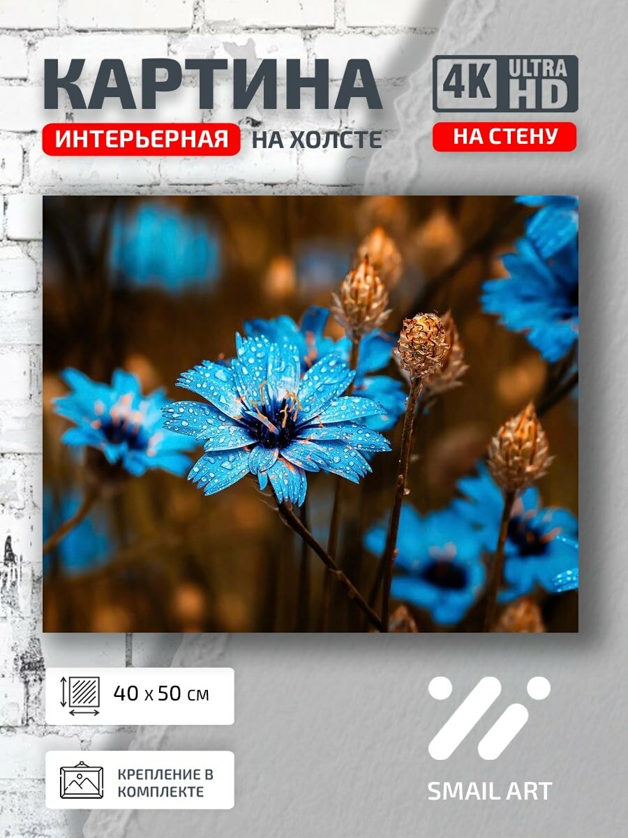 Картина на холсте интерьерная 40 на 50 на стену Макро Васильки для офиса атмосфера
