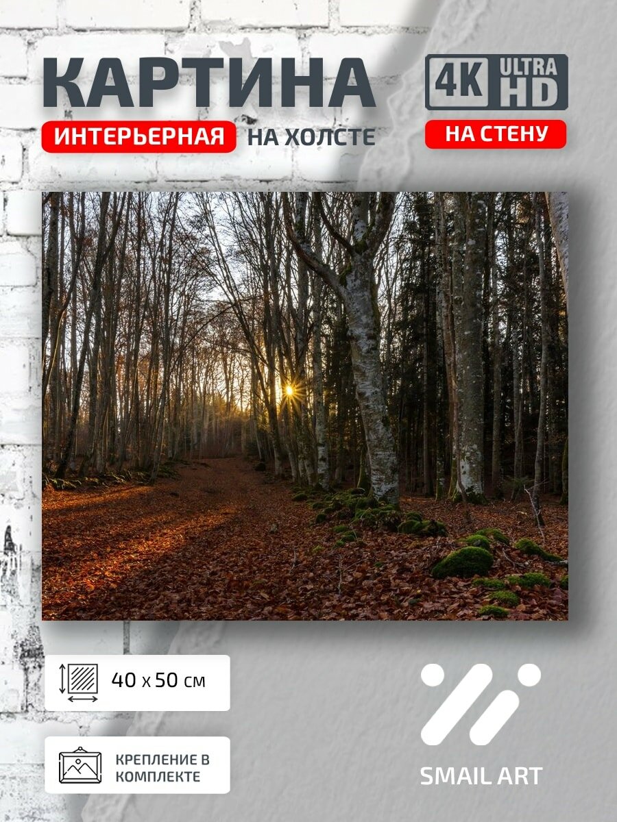 Картина на холсте интерьерная 40 на 50 на стену Природа лес для спальни пейзаж