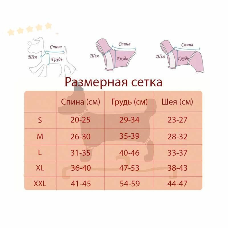 Одежда для животных — фото 1