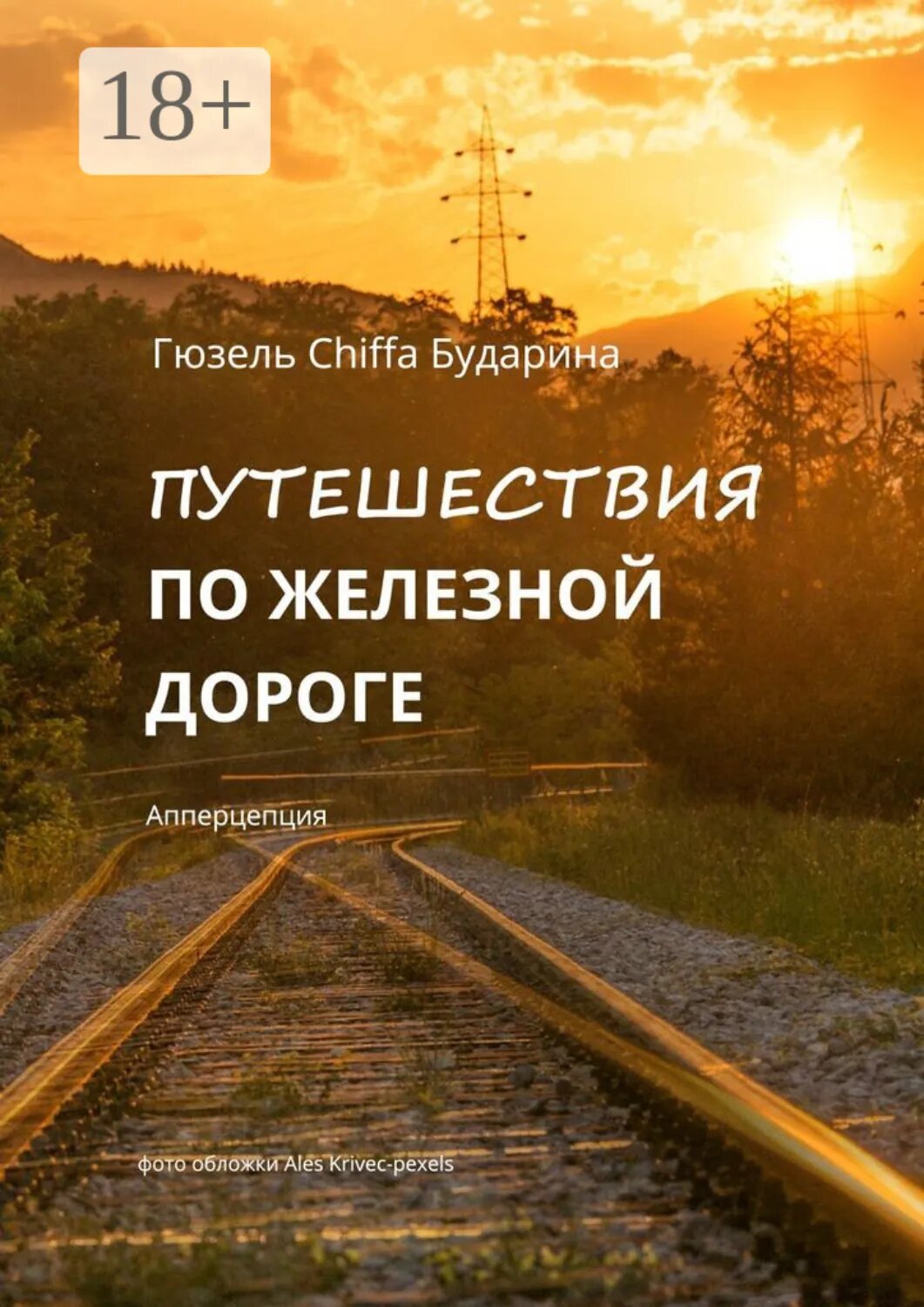 Путешествия по железной дороге. Апперцепция [Цифровая книга]