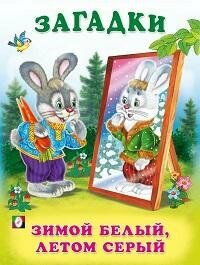 Книга "Зимой белый, летом серый : русские народные загадки"
