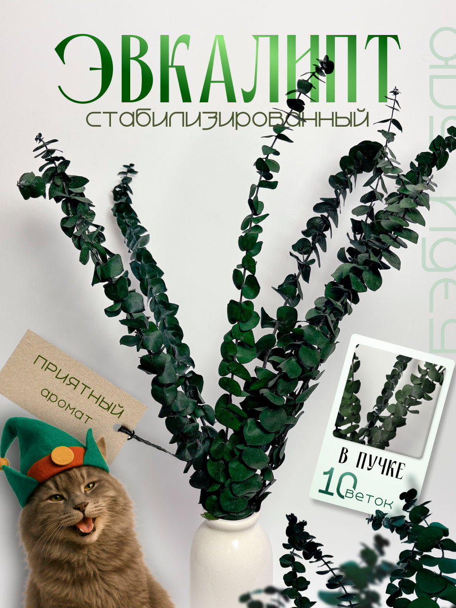 Эвкалипт стабилизированный беби блю зелёный, 10 веток, 50 см