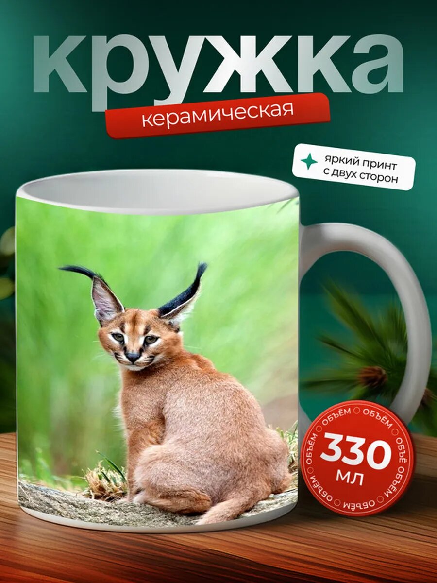 Кружка Карибский коралловый кот 29,