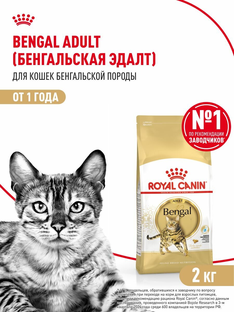 Сухой корм для кошек Royal Canin Adult для бенгальской породы, 2 кг