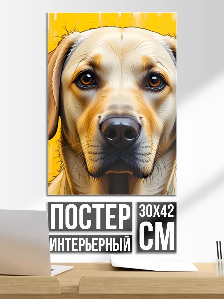Постер на стену Лабрадор и желтая краска