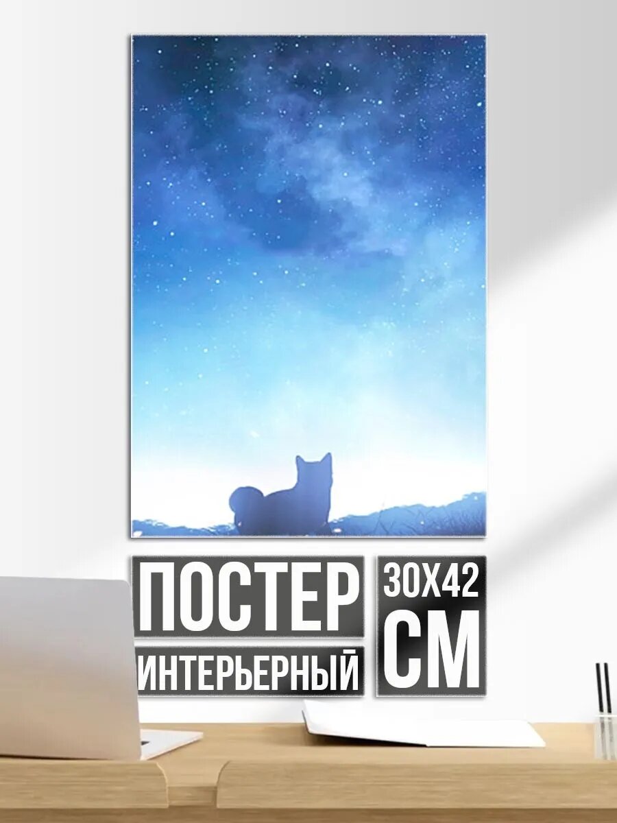 Постер на стену Силуэт корги ночь космос дымка