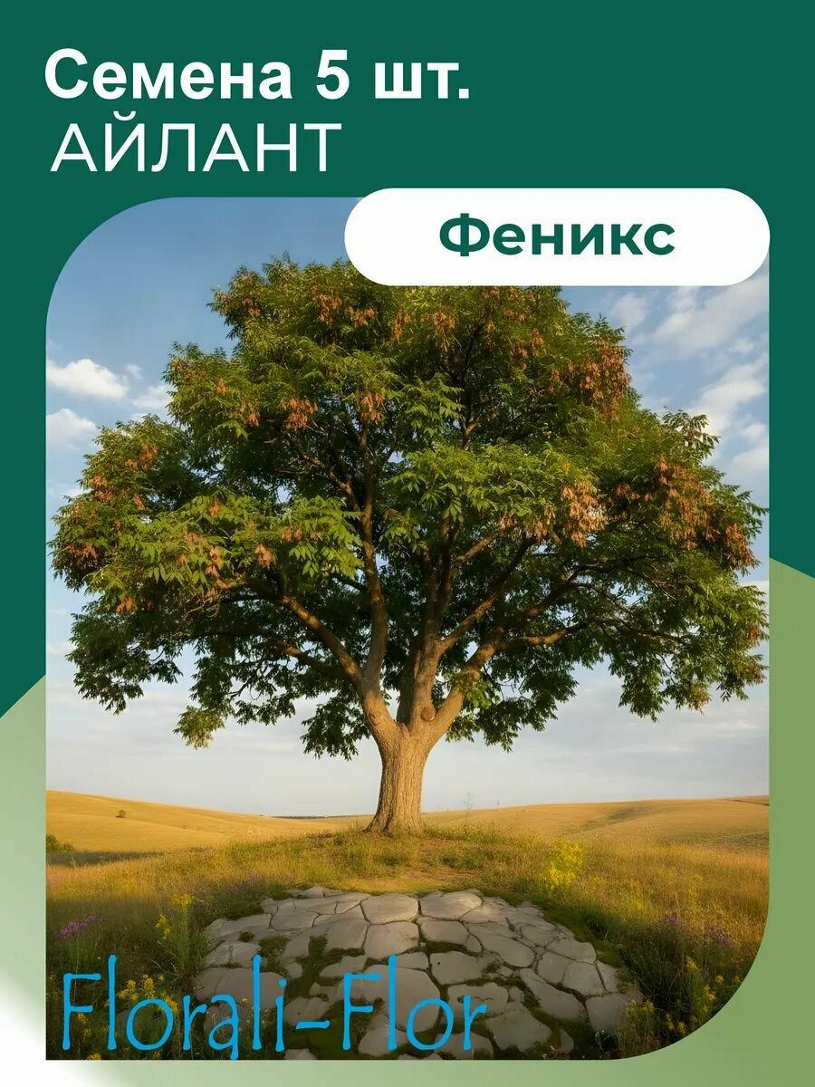 Айлант Семена
