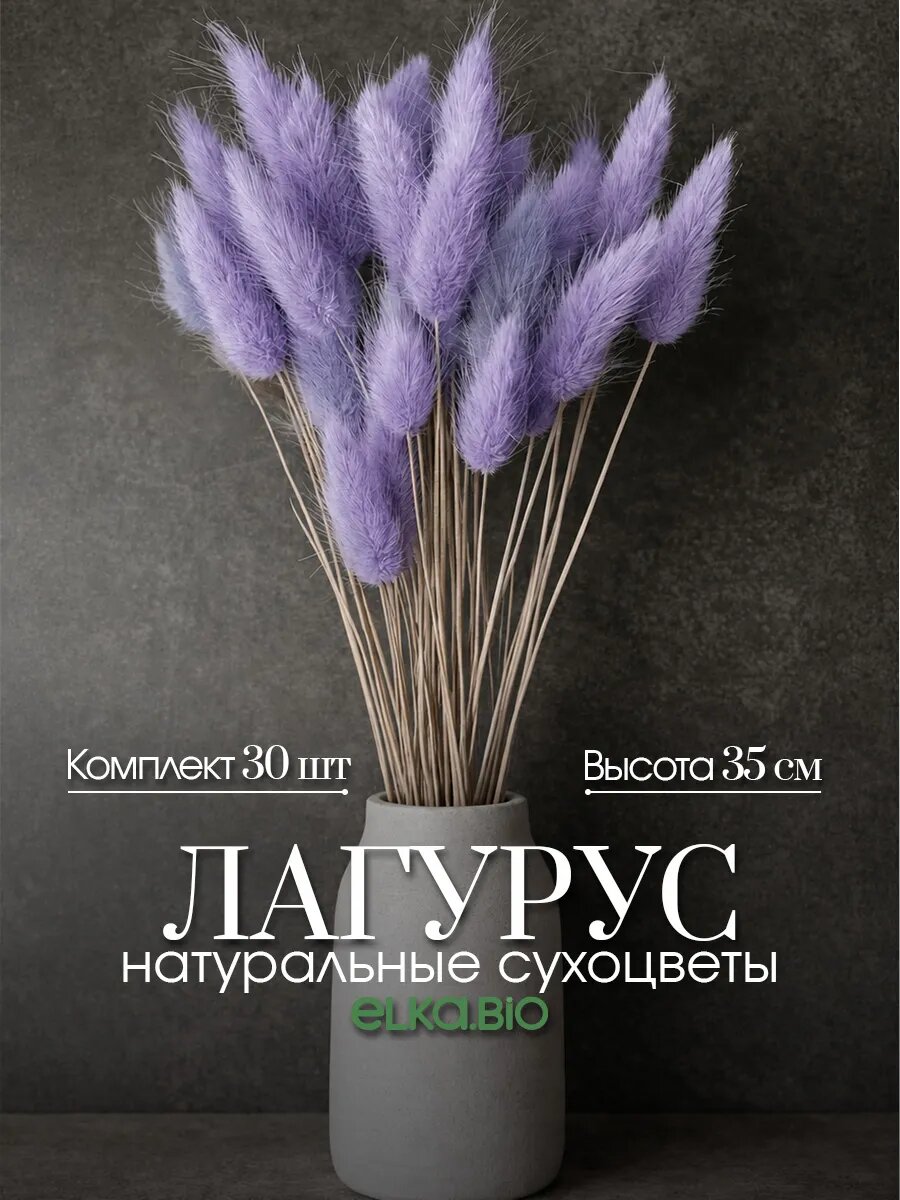 Лагурус сиреневый 28-30 шт, сухоцветы для декора
