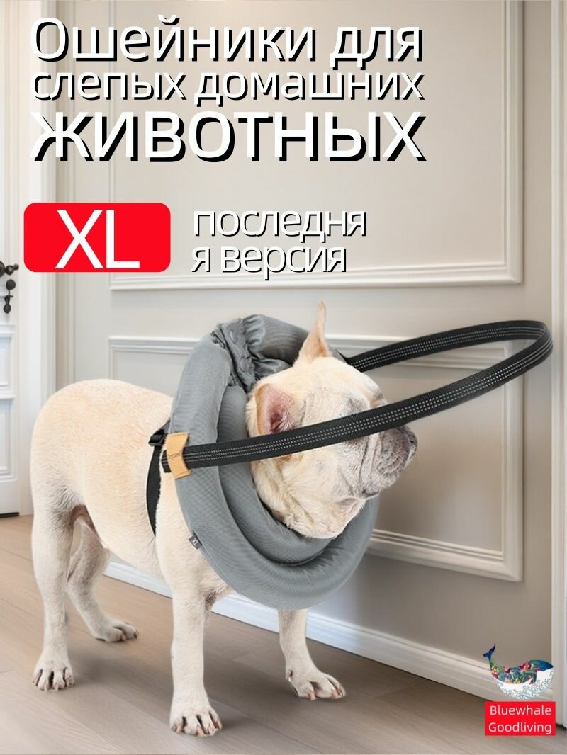 Ошейник для слепых питомцев. Ошейник для защиты от столкновений для частично зрячих собак и кошек. Принадлежности для слепых домашних животных. Защитное снаряжение для домашних животных. Код XL.