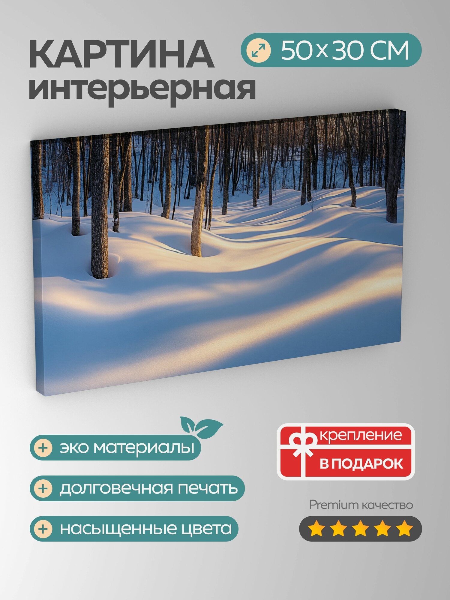 Картина на холсте интерьерная 50х30 см, зимний лес, мороз, рассвет, солнечные лучи, тени, заснеженная земля, красота, f
