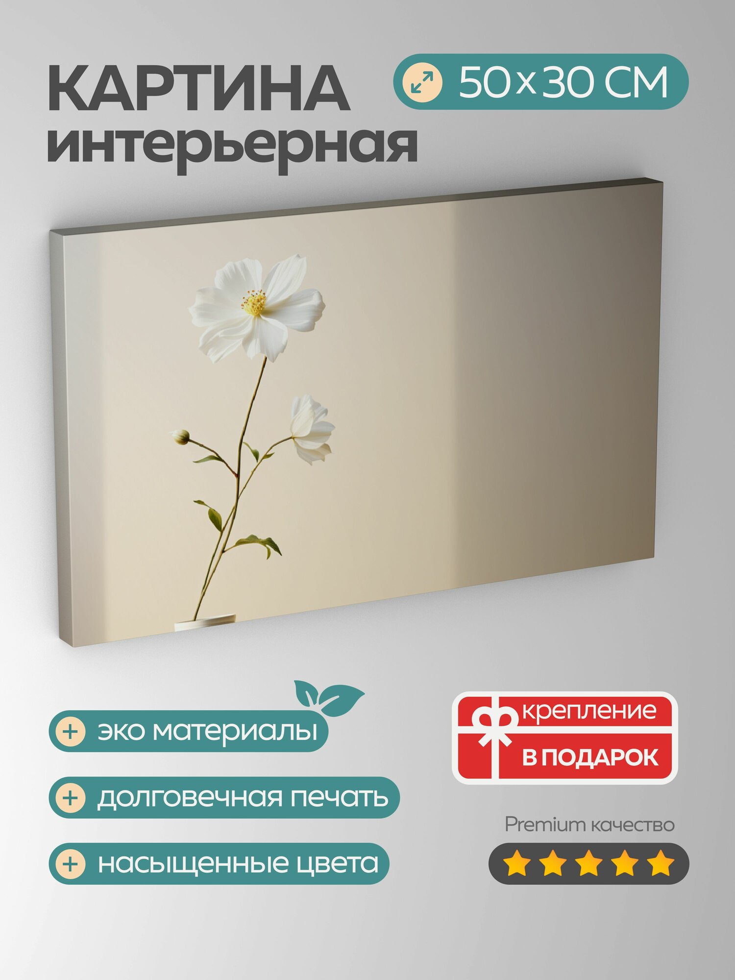 Картина на холсте интерьерная 50х30 см, фотография, минимализм, белый цветок, нейтральный фон, освещение