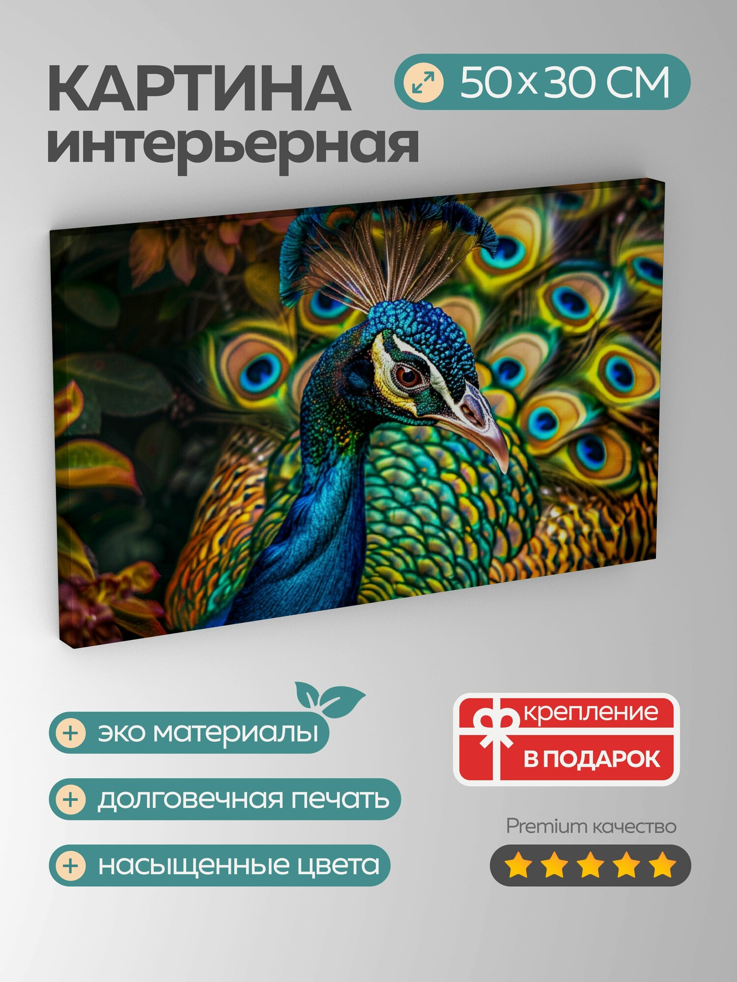 Картина на холсте интерьерная 50х30 см, павлин, фотография, величественный, природная красота, грация, яркие перья