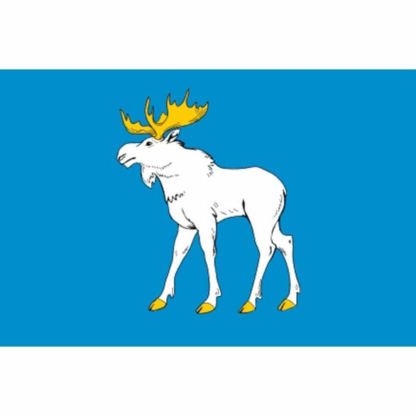 Флаг Йошкар-Олы 135x90 см.