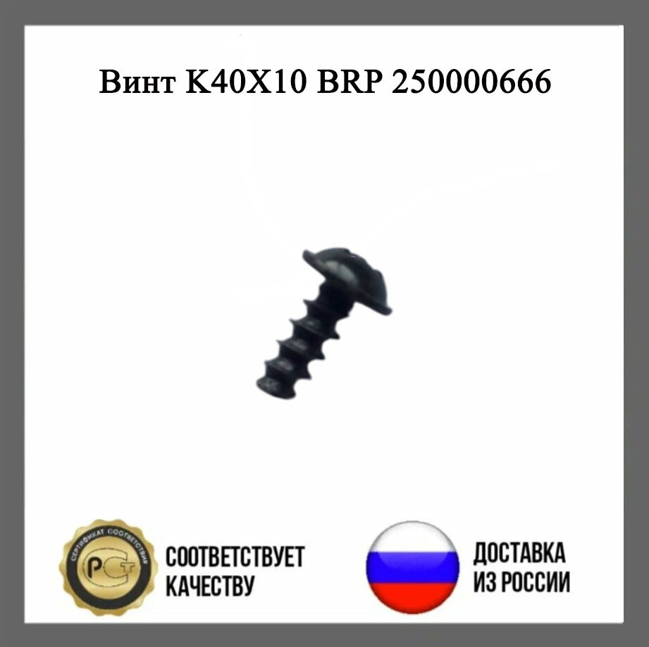 Винт K40X10 BRP 250000666