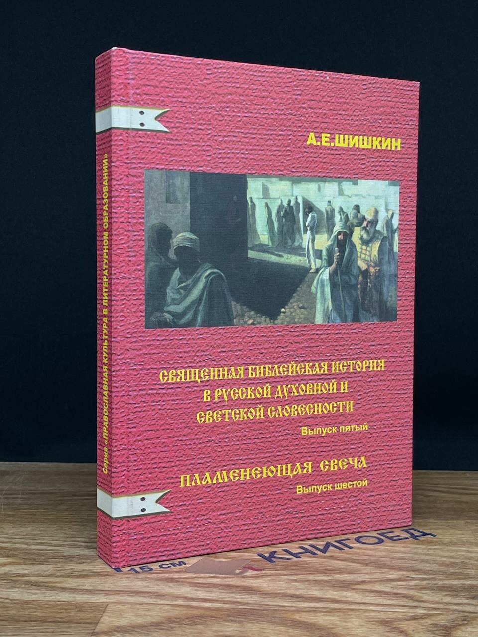 Книга. Свящ. Библейская история в рус. духов. словесности. Вып. 5-6 2007 (2044649642687)