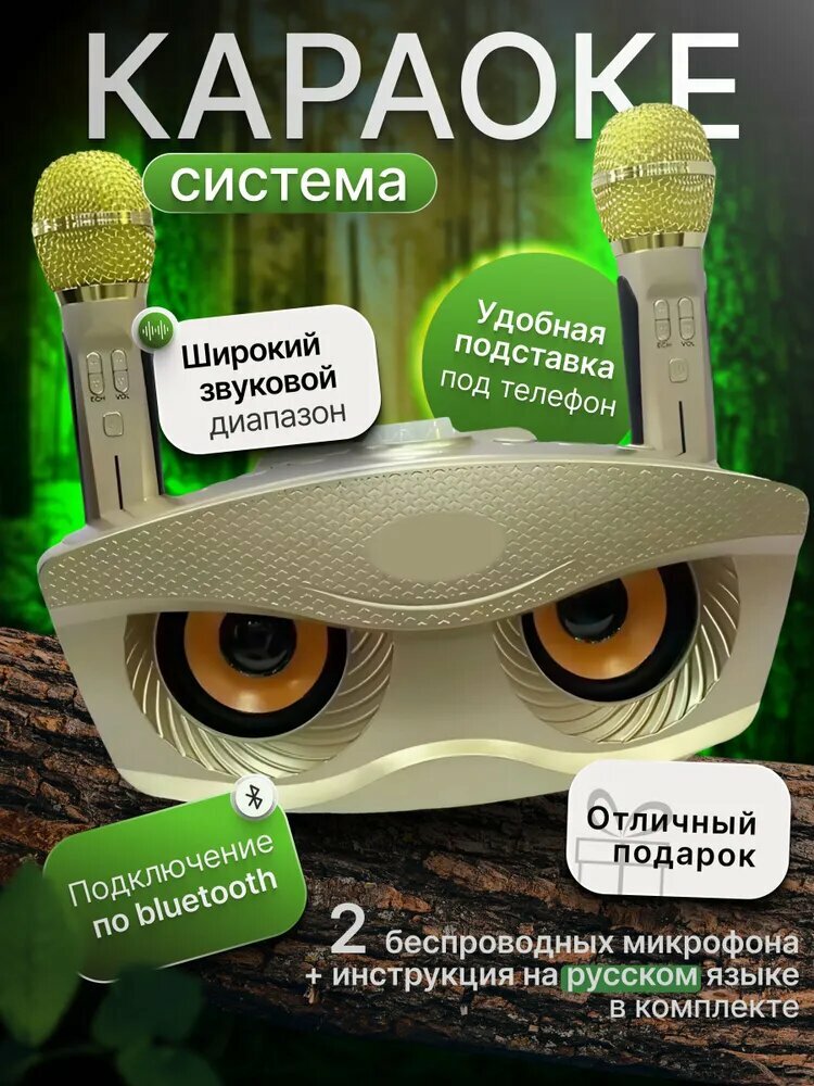 Караоке система с двумя микрофонами беспроводная золотая, караоке система для дома Сова