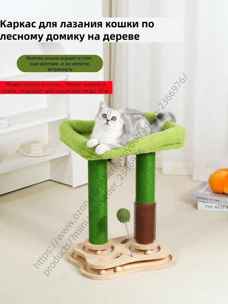 Когтеточка