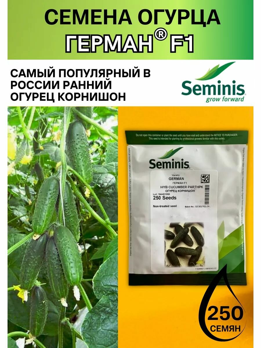 Огурец корнишон Герман F1 250 семян Seminis, профессиональные семена
