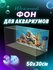 Фон для аквариума "Кораллы", влагозащитный и износостойкий, 30 x 50см. Эффект 3D...