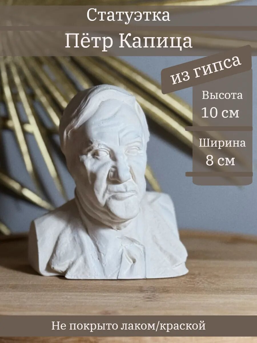 Статуэтка Пётр Капица, 10 см декоративный бюст из гипса без окрашивания