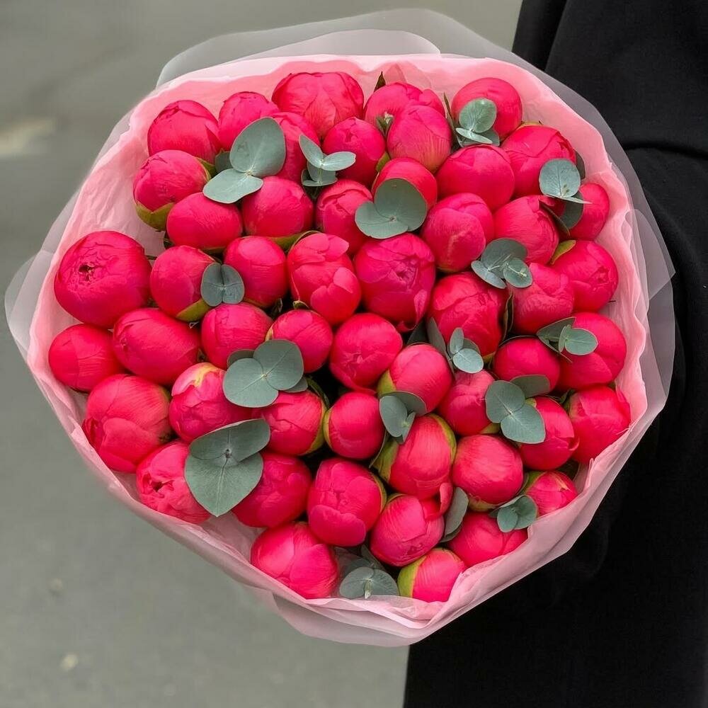 Букет из коралловых пионов 51 шт и эвкалипта шикарный букет премиум букет премиум цветы